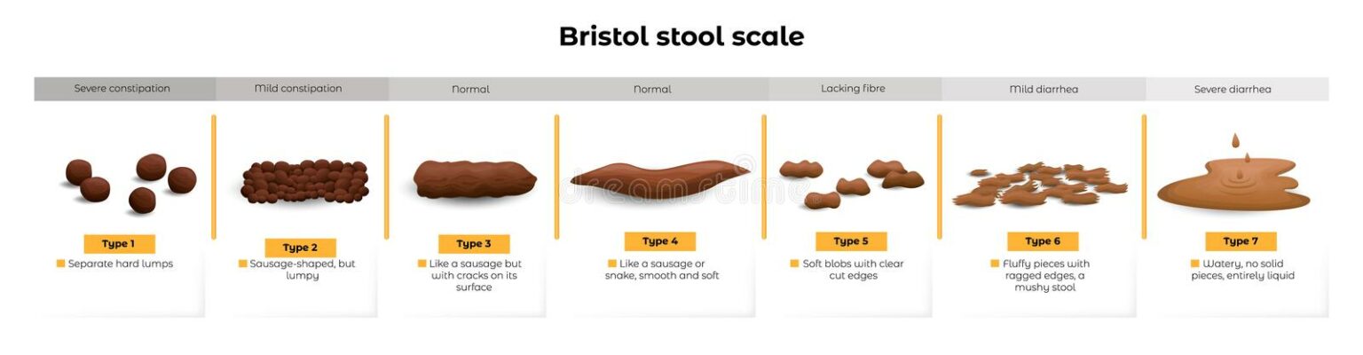 How Two: Stool Tracking With Cronometer - Cronometer Blog